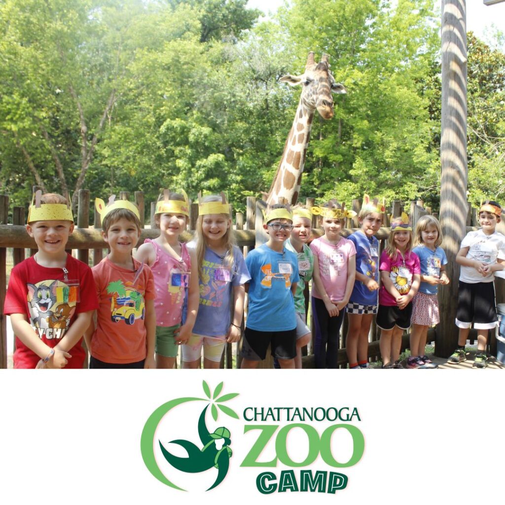 Chattanooga Zoo opens Summer Camp registration - Marion County Tribune