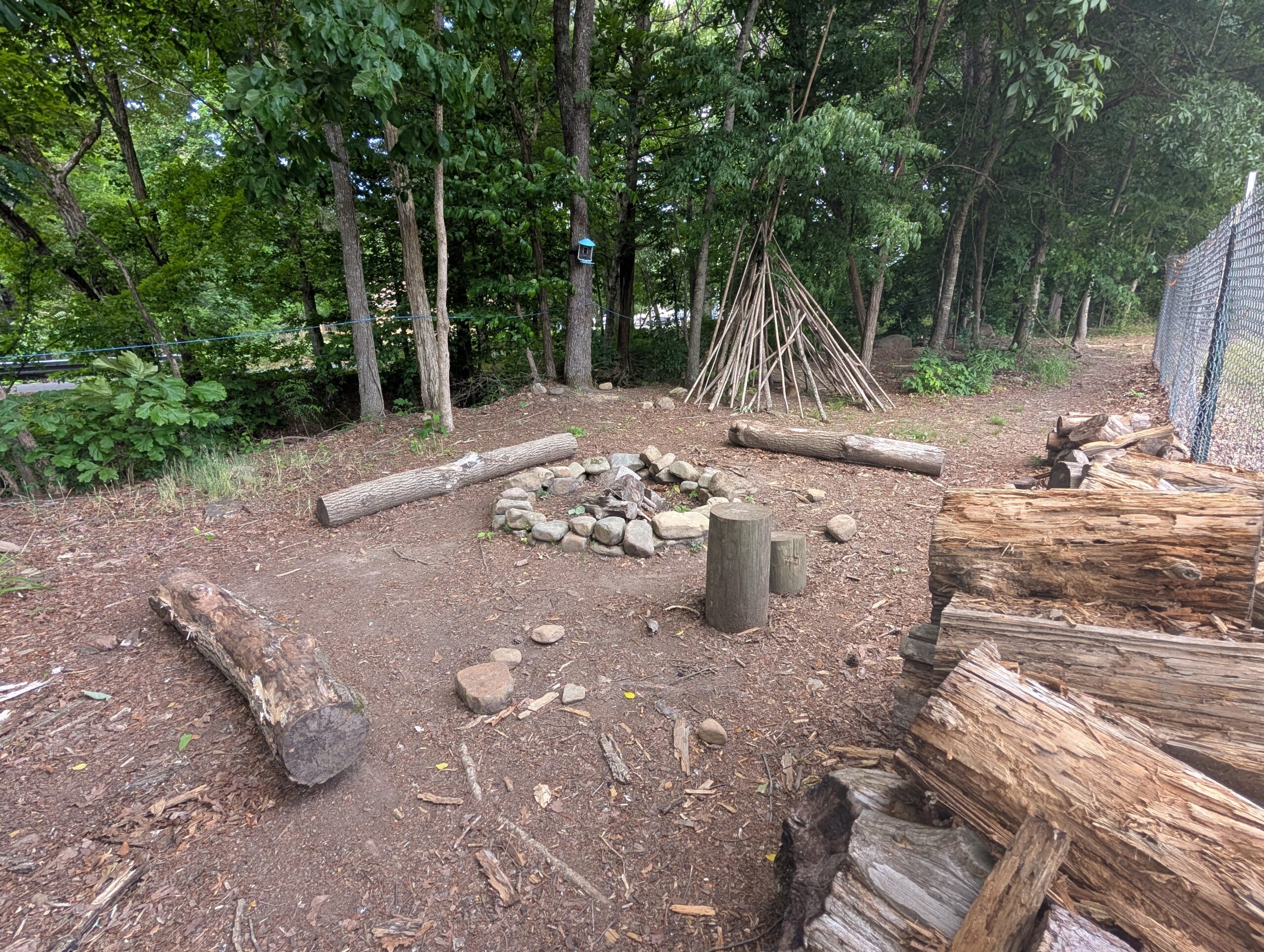 Jasper Adventist Christian School to kick off Forest School Camp in ...